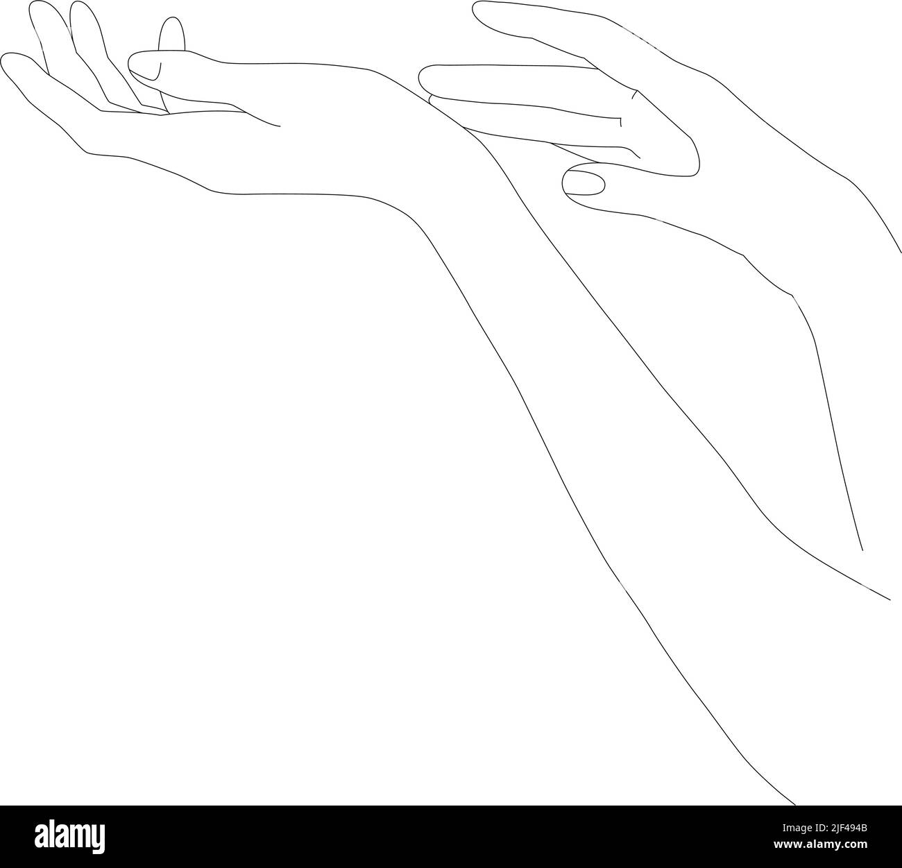 Holding hands. Palms in one line. Hands on a white isolated background ...