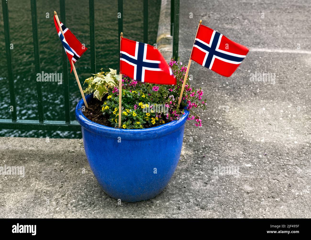 Norwegian flags in blue flowerpot Stock Photo - Alamy