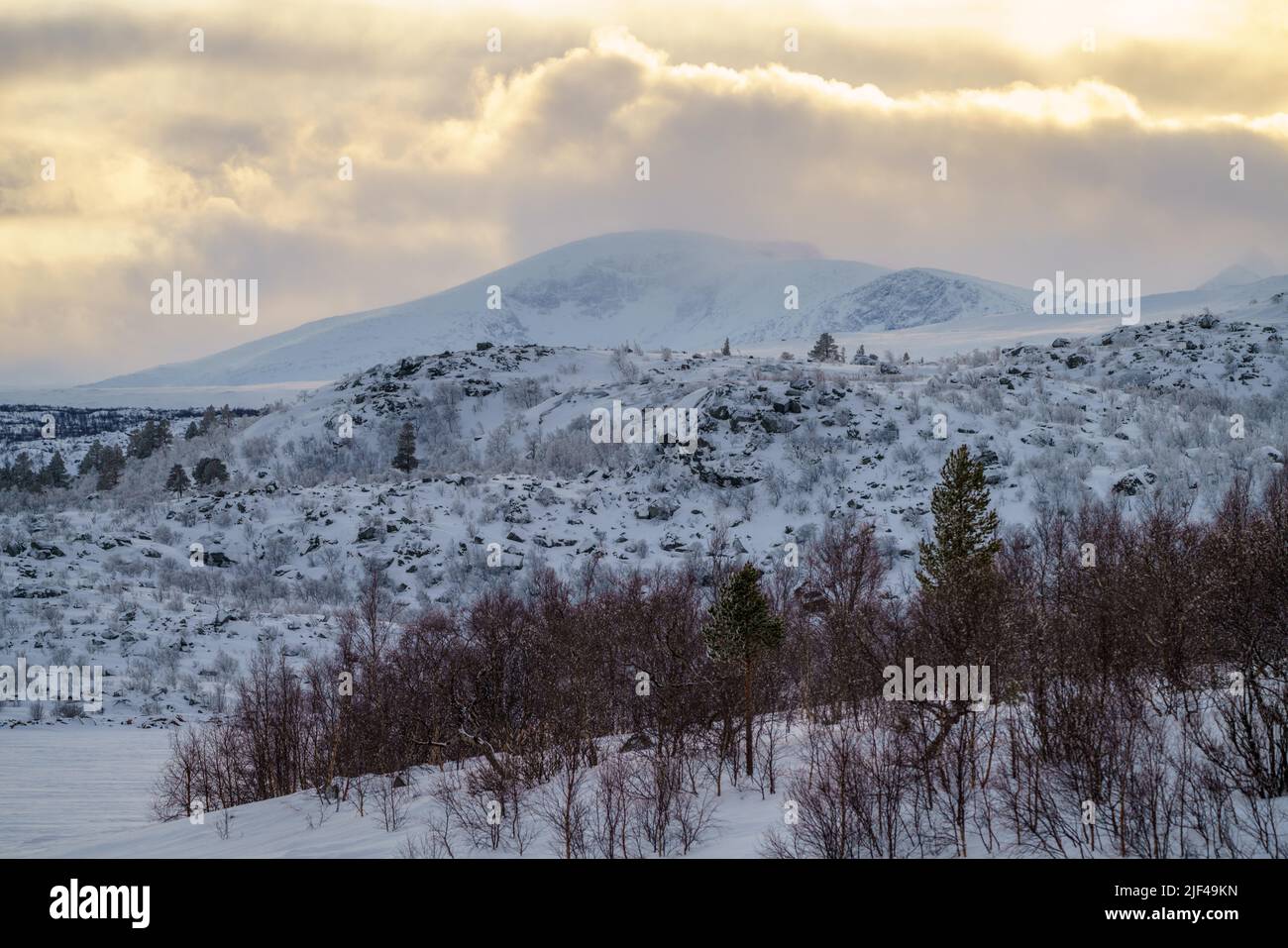Winter landscape with nice light, plenty of snow, mountains in ...