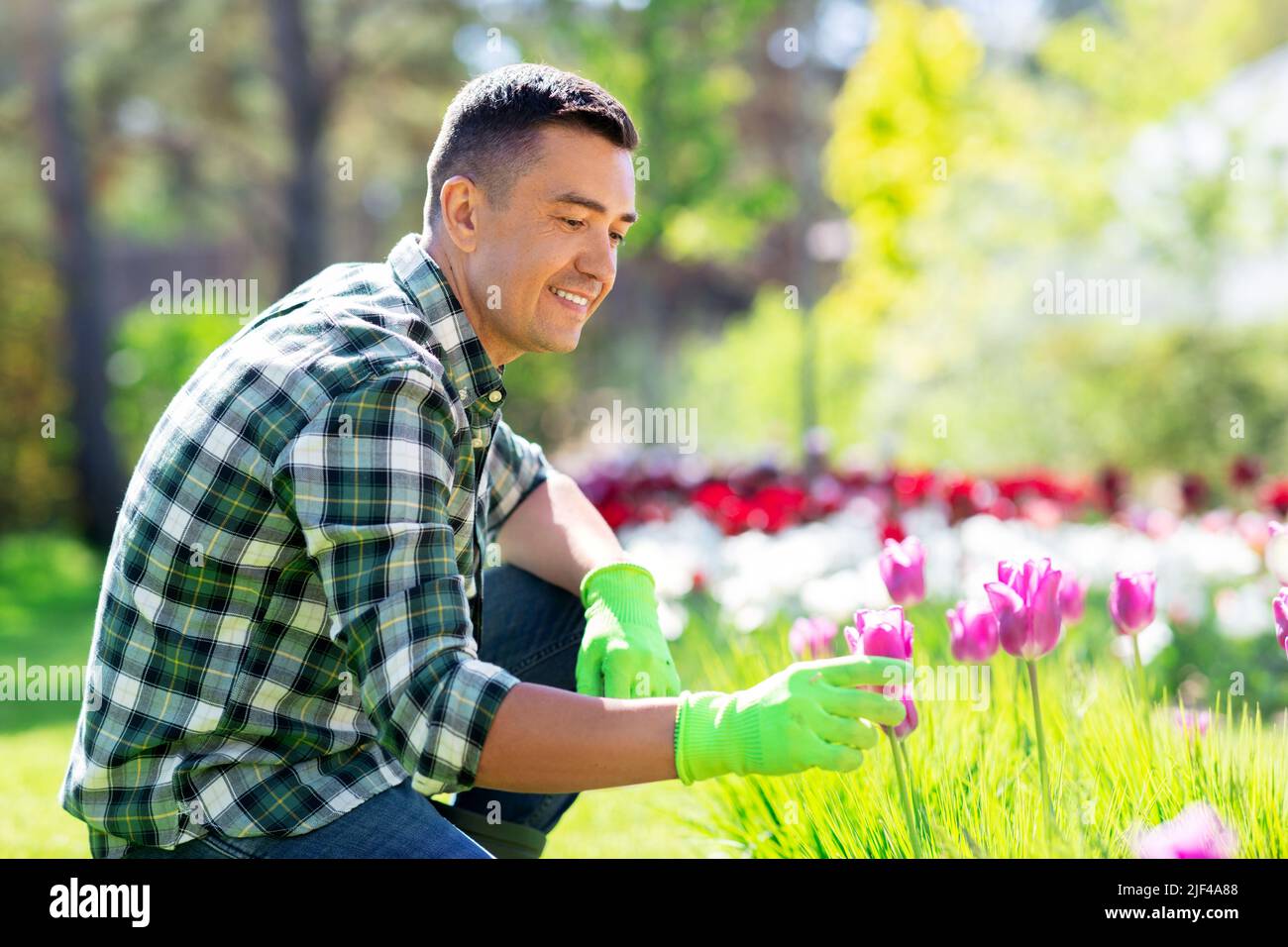 happy man taking care of flowers at garden Stock Photo - Alamy