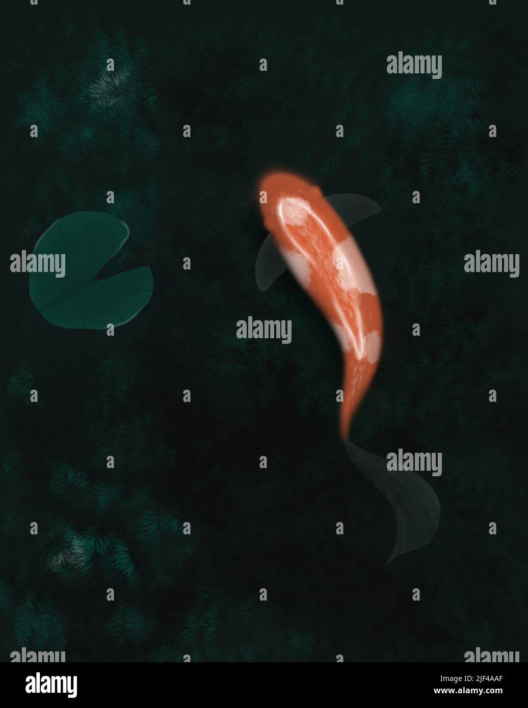 A illustration of a Kohaku fish swimming in water with a reflection of ...