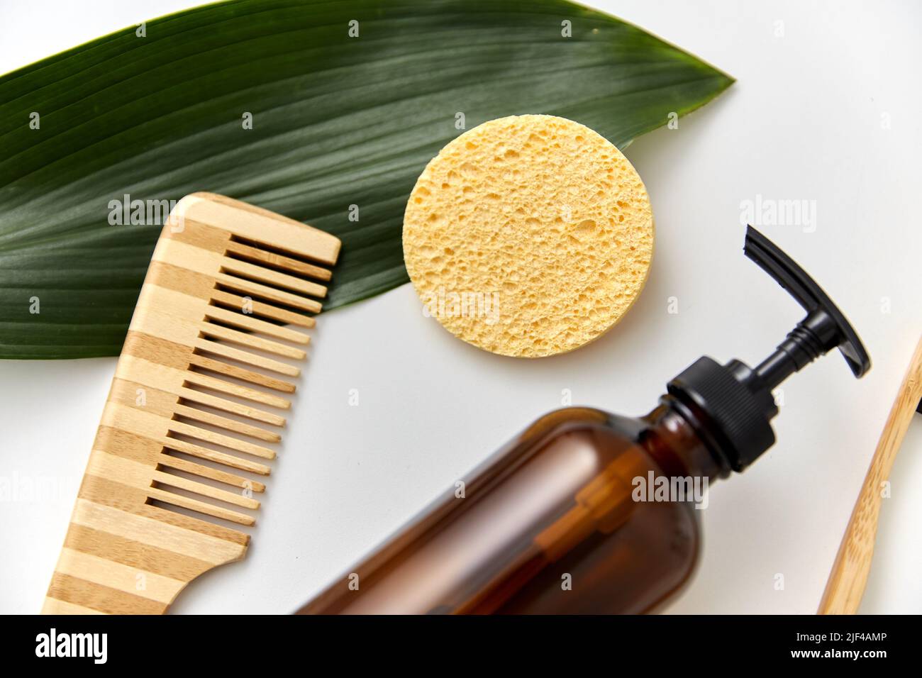 comb, sponge, liquid soap or shower gel and leaf Stock Photo - Alamy
