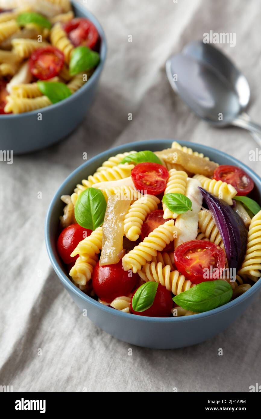 Homemade Fusilli Pasta Salad with Mozzarella and Vegetables, side view ...