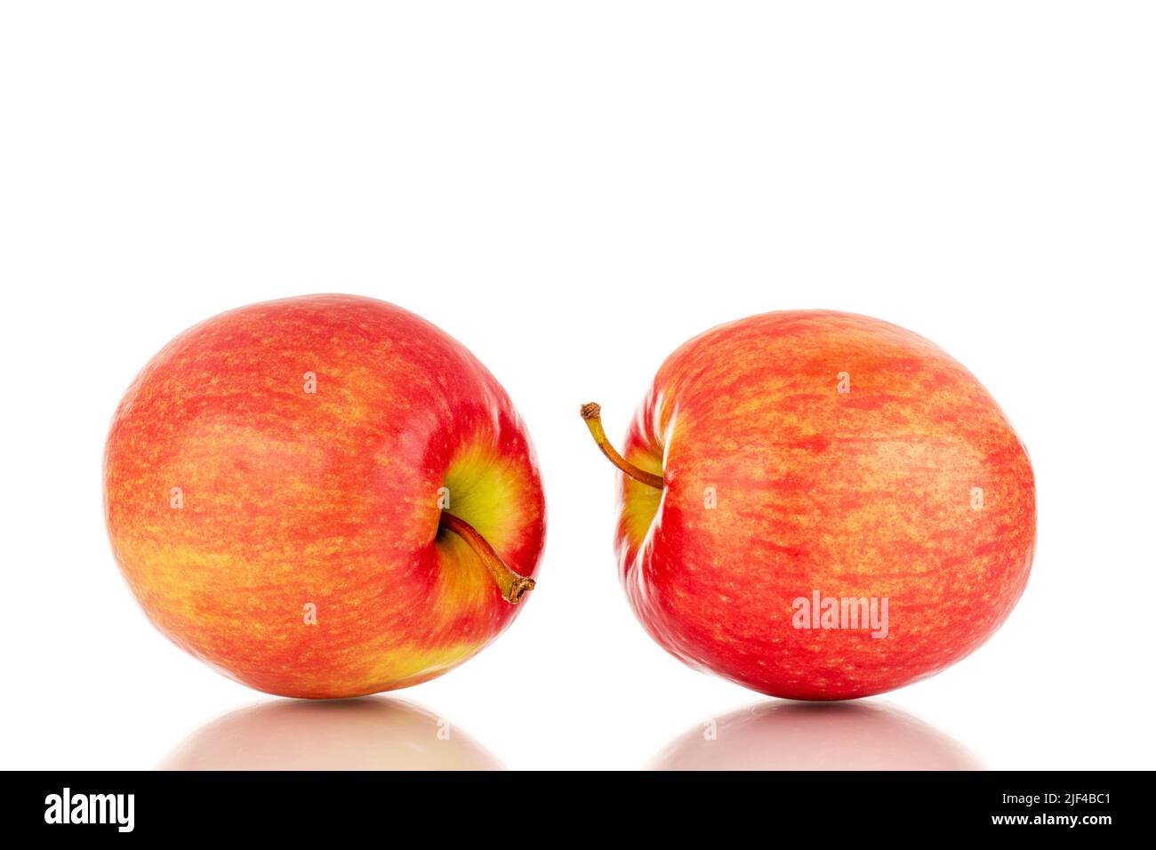 Two juicy red apples, close-up, isolated on a white background Stock ...
