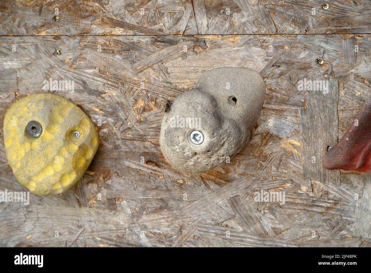 Climbing training wall close up detail Stock Photo - Alamy