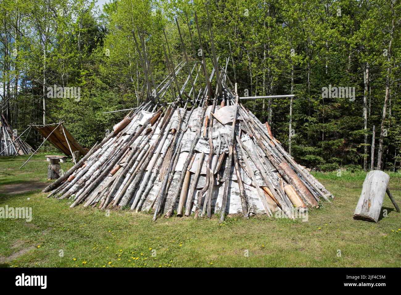 A replica of an Ojibwa, Ojibwe, or Anishinaabe birch bark oval shaped ...