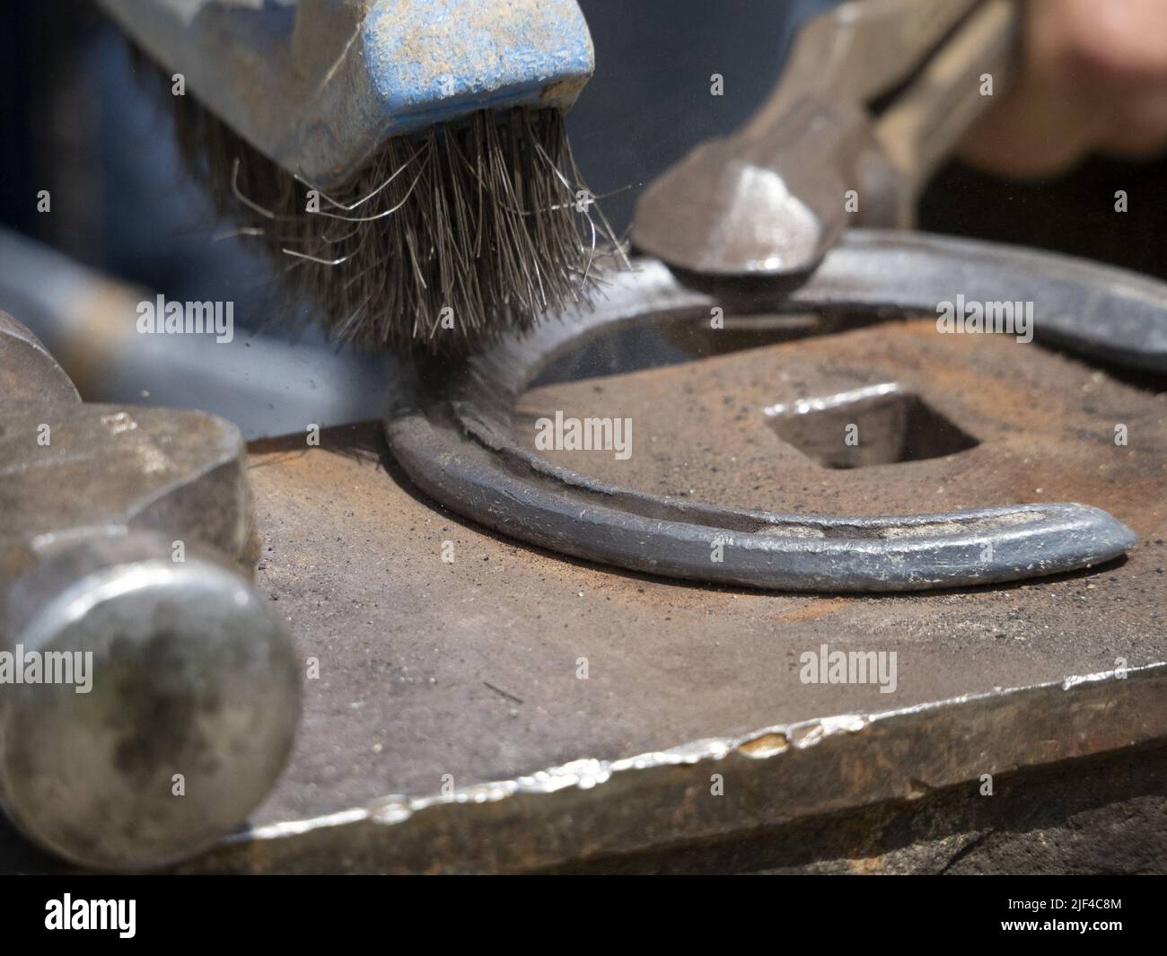Blacksmith shoeing a donkey and cleaning hoof detail Stock Photo - Alamy