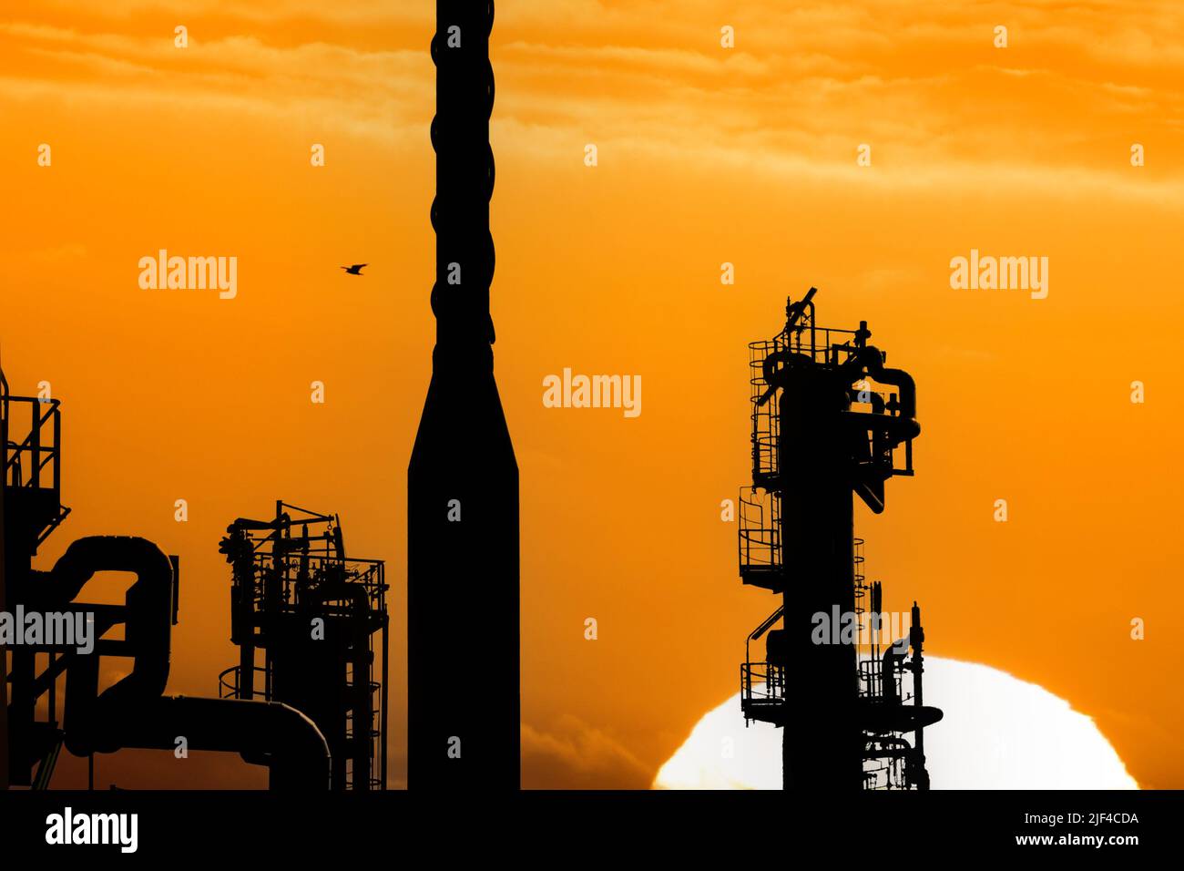 oil refinery silhouette isolated on sunset background Stock Photo - Alamy
