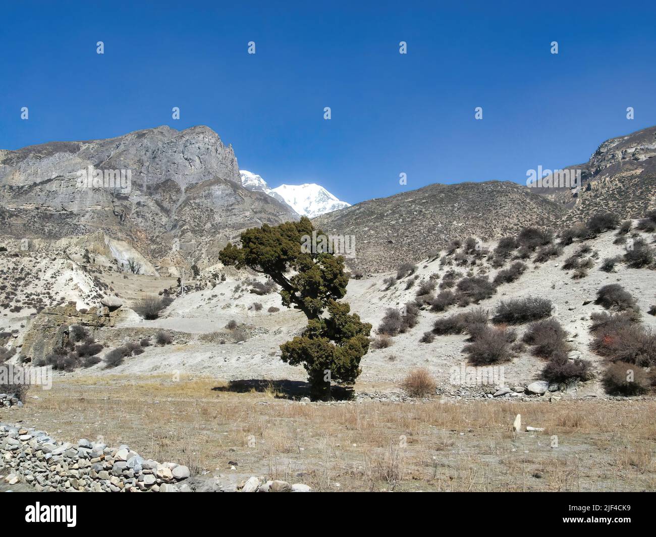 In the middle of the wild nature of Nepal, Manang in the valley of the ...