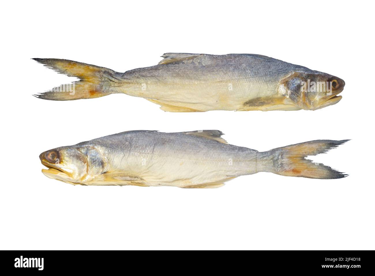 Threadfin salted fish isolated on white background Stock Photo - Alamy