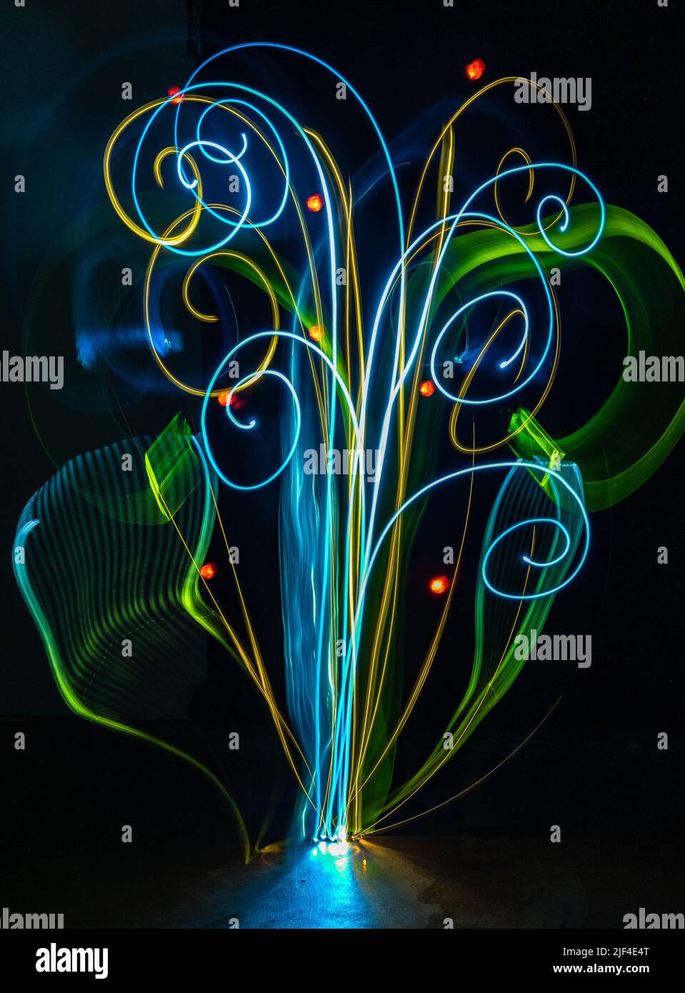Night light painting. Flowers and plant created with light. Abstract ...