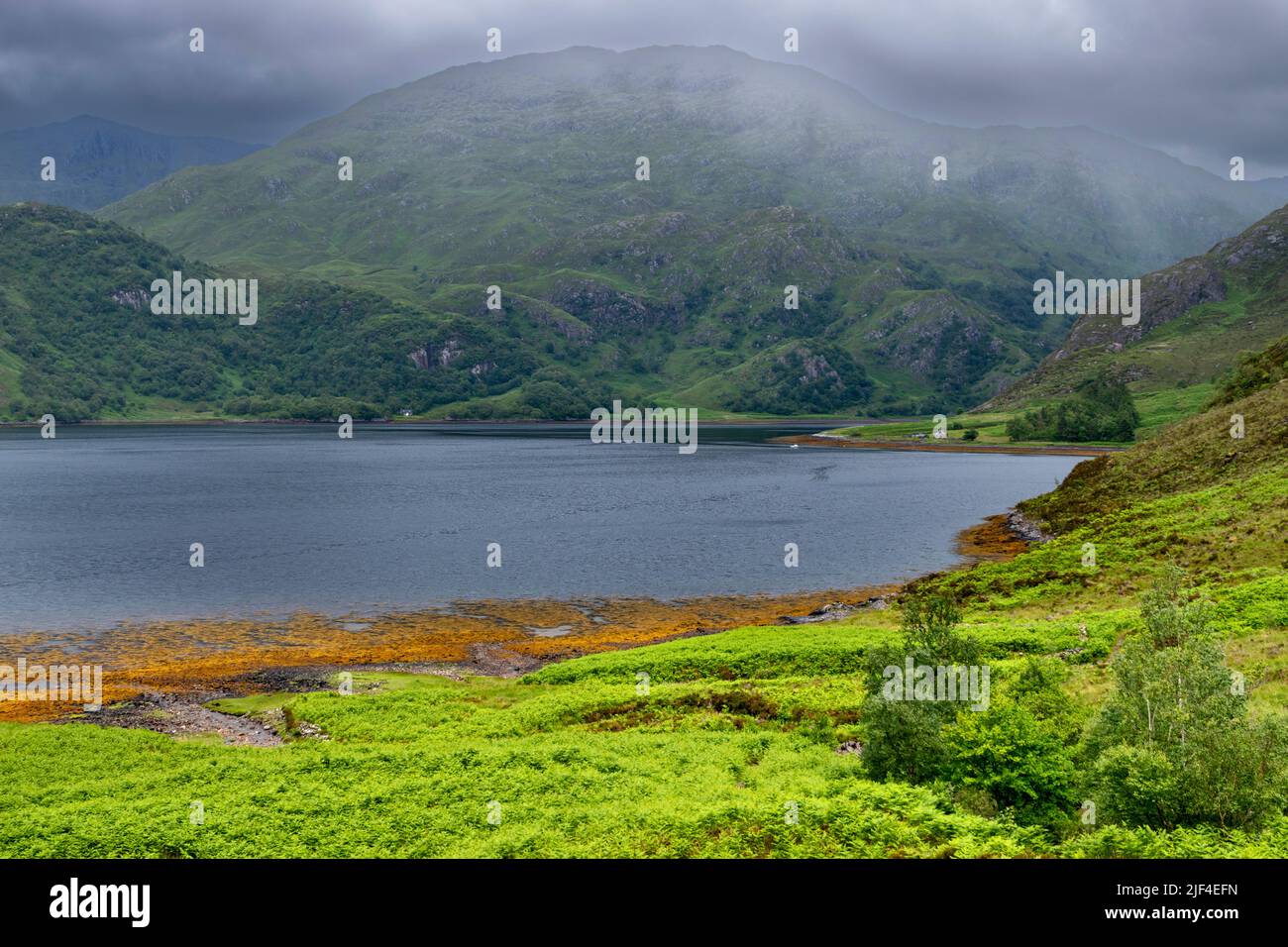 KINLOCH HOURN LOCH HOURN KNOYDART SCOTLAND EARLY SUMMER THE SEA LOCH ...