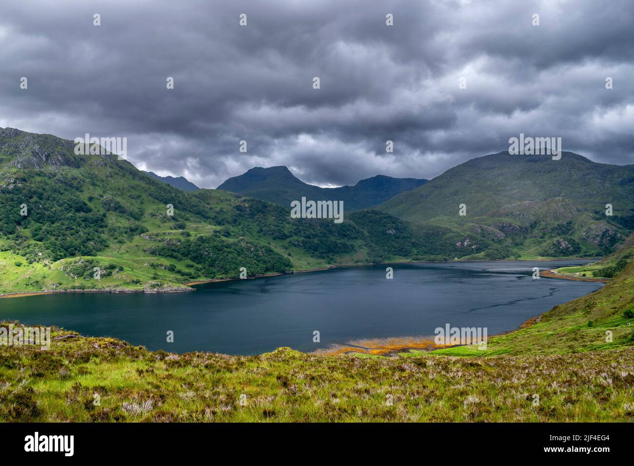 KINLOCH HOURN LOCH HOURN KNOYDART SCOTLAND EARLY SUMMER THE SEA LOCH ...