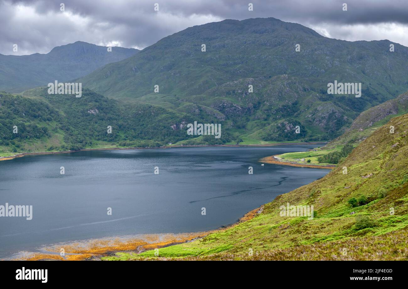 KINLOCH HOURN LOCH HOURN KNOYDART SCOTLAND EARLY SUMMER THE SEA LOCH ...