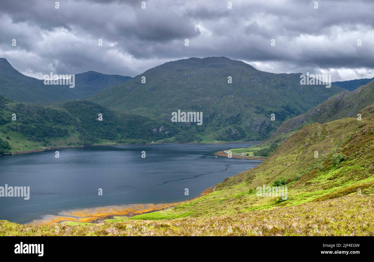 KINLOCH HOURN LOCH HOURN KNOYDART SCOTLAND EARLY SUMMER THE SEA LOCH ...