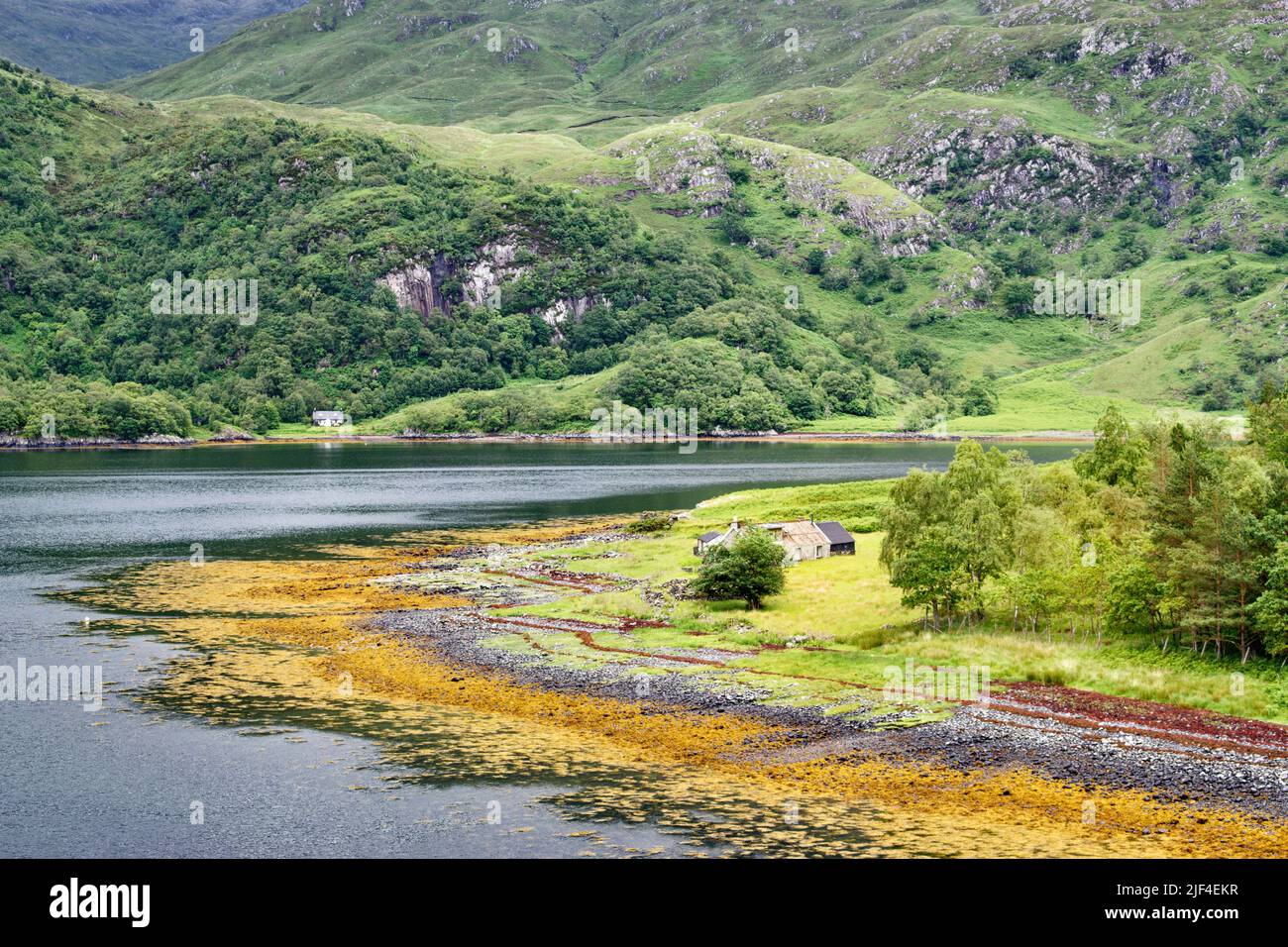 KINLOCH HOURN LOCH HOURN KNOYDART SCOTLAND EARLY SUMMER WITH ISOLATED ...