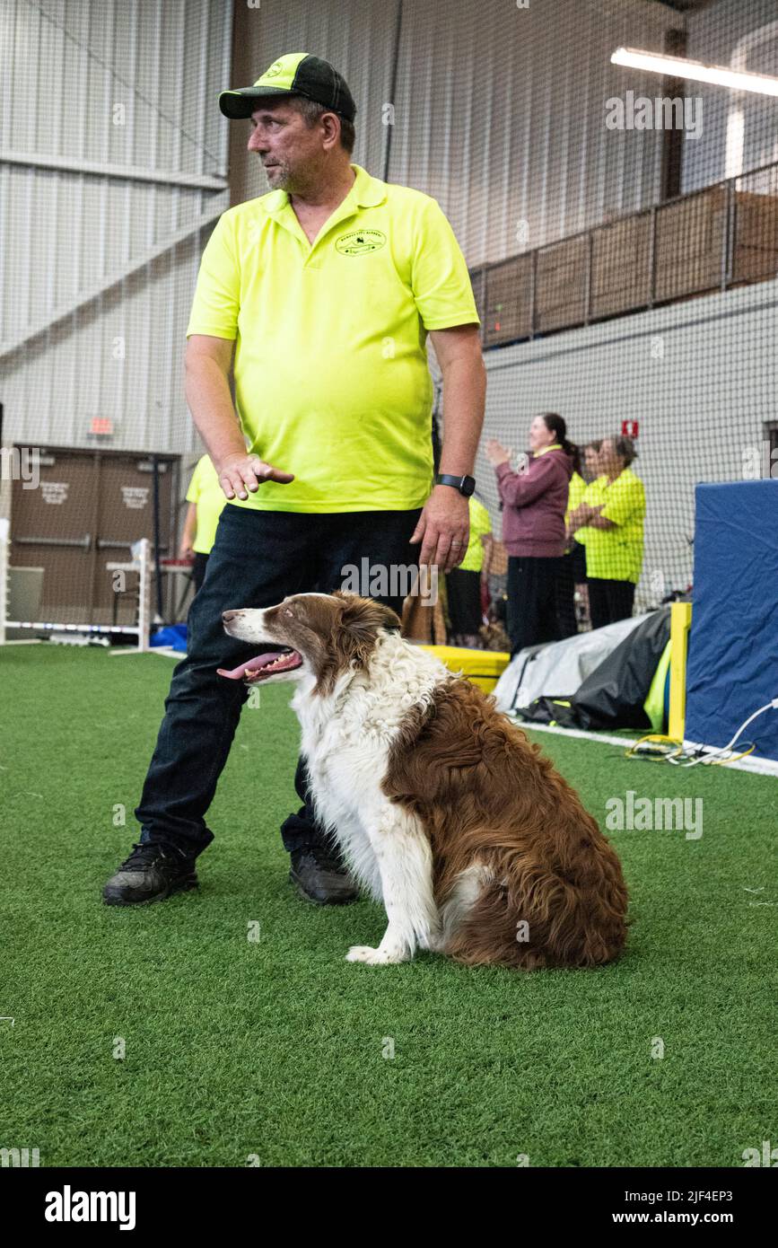 Dog and his master at Woof a Roo dog show in Canada Stock Photo - Alamy