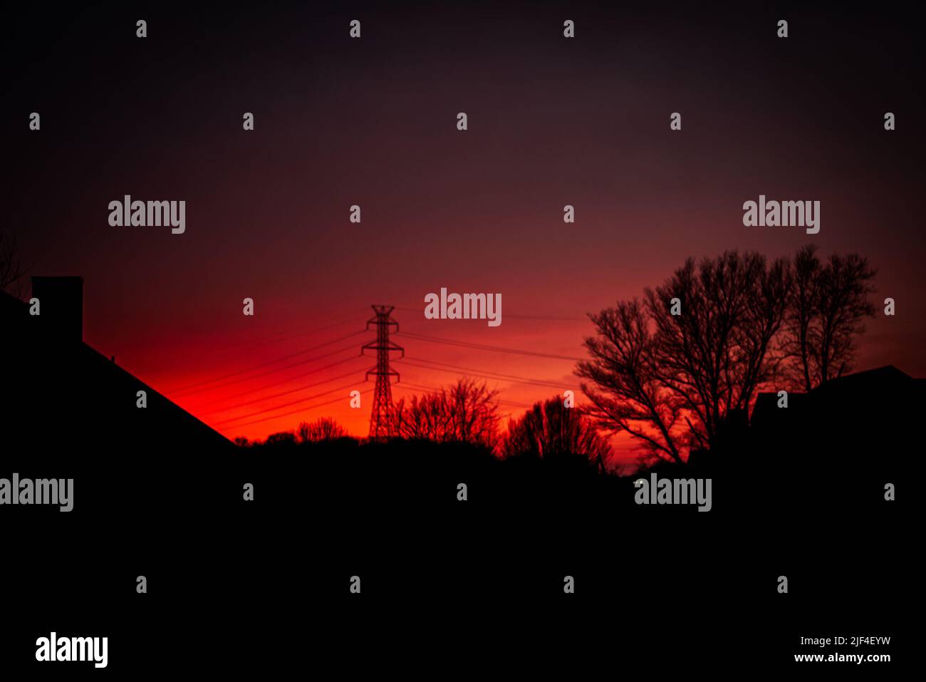 The silhouettes of trees and transmission tower against the red sky at ...