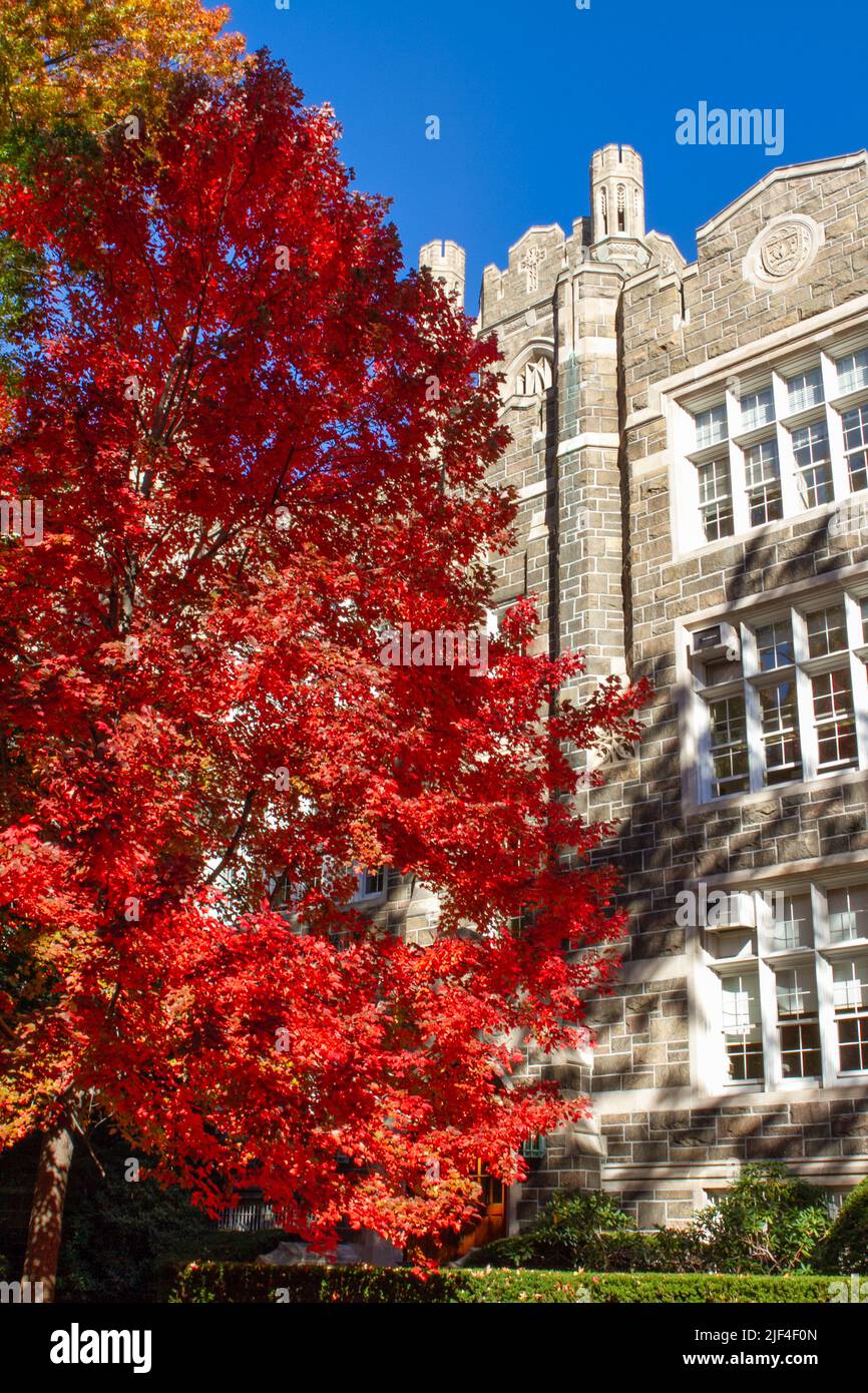New york botanic garden autumn hi-res stock photography and images - Alamy