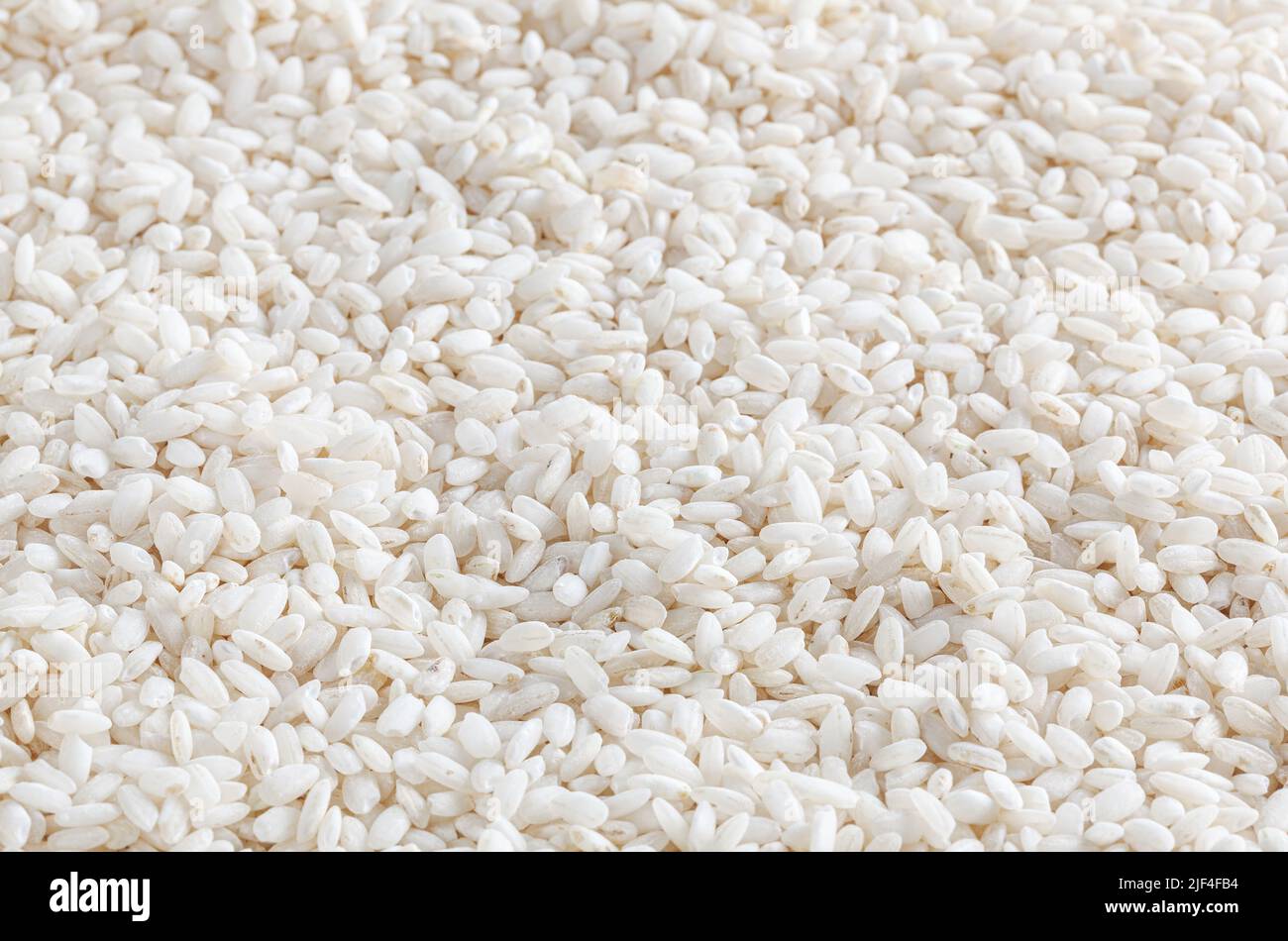 Uncooked arborio rice background Stock Photo - Alamy