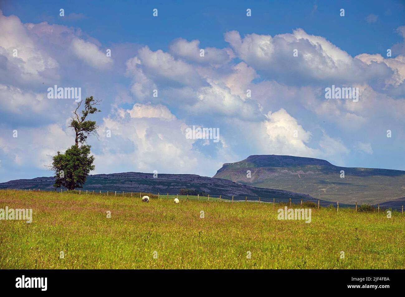 Storm clouds over Ingleborough mountain above Ingleton, Yorkshire, UK ...