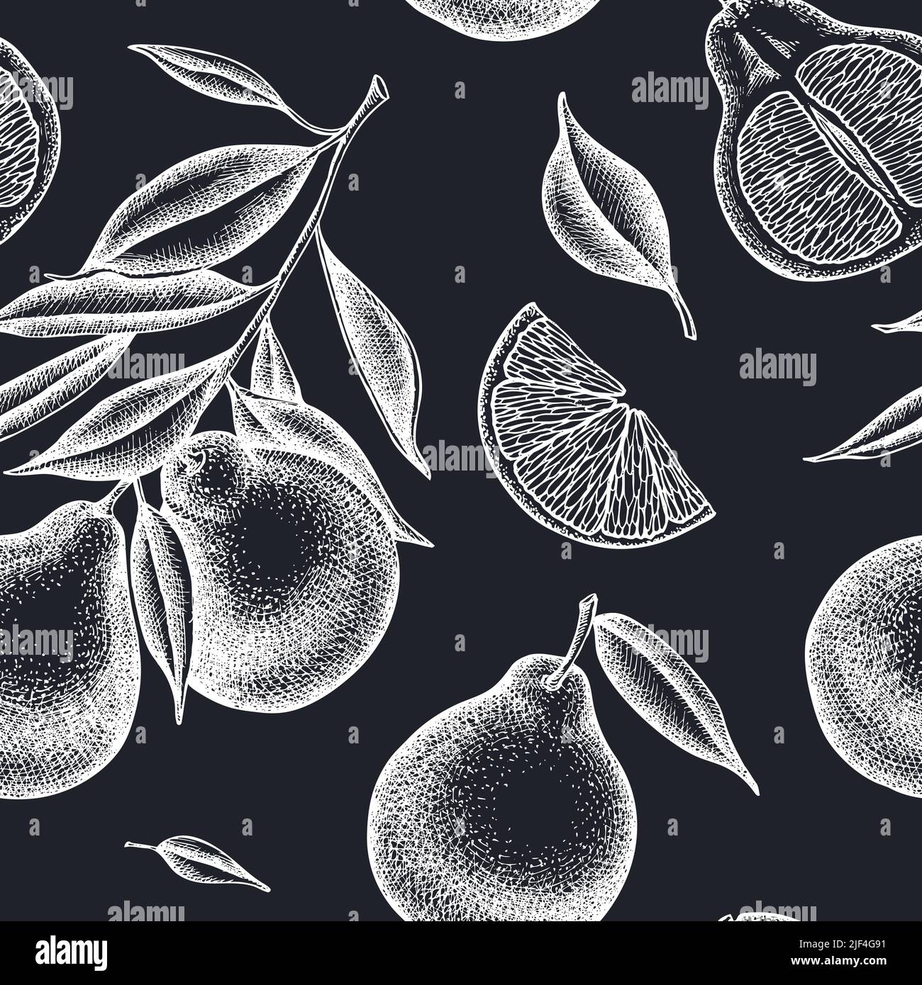 Citrus seamless pattern background design. Engraved style. Hand drawn tangelo Stock Vector Image ...