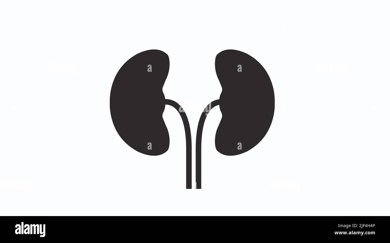 Kidney icon. Vector isolated editable black and white illustration ...