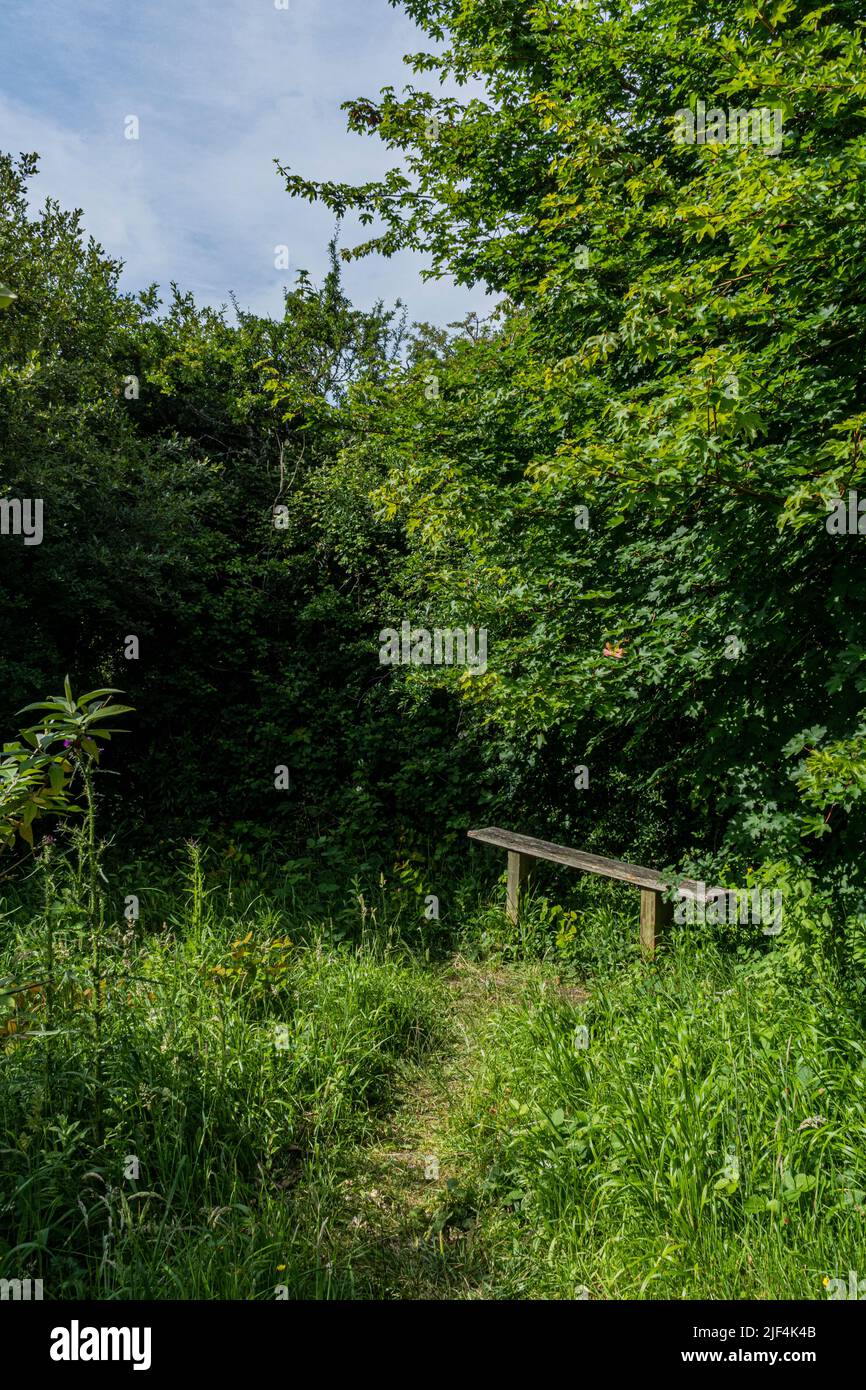 Lavernock nature reserve hi-res stock photography and images - Alamy