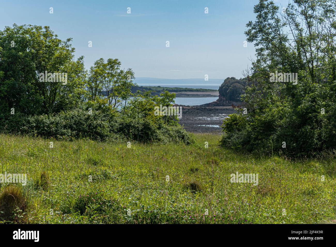 Lavernock nature reserve hi-res stock photography and images - Alamy