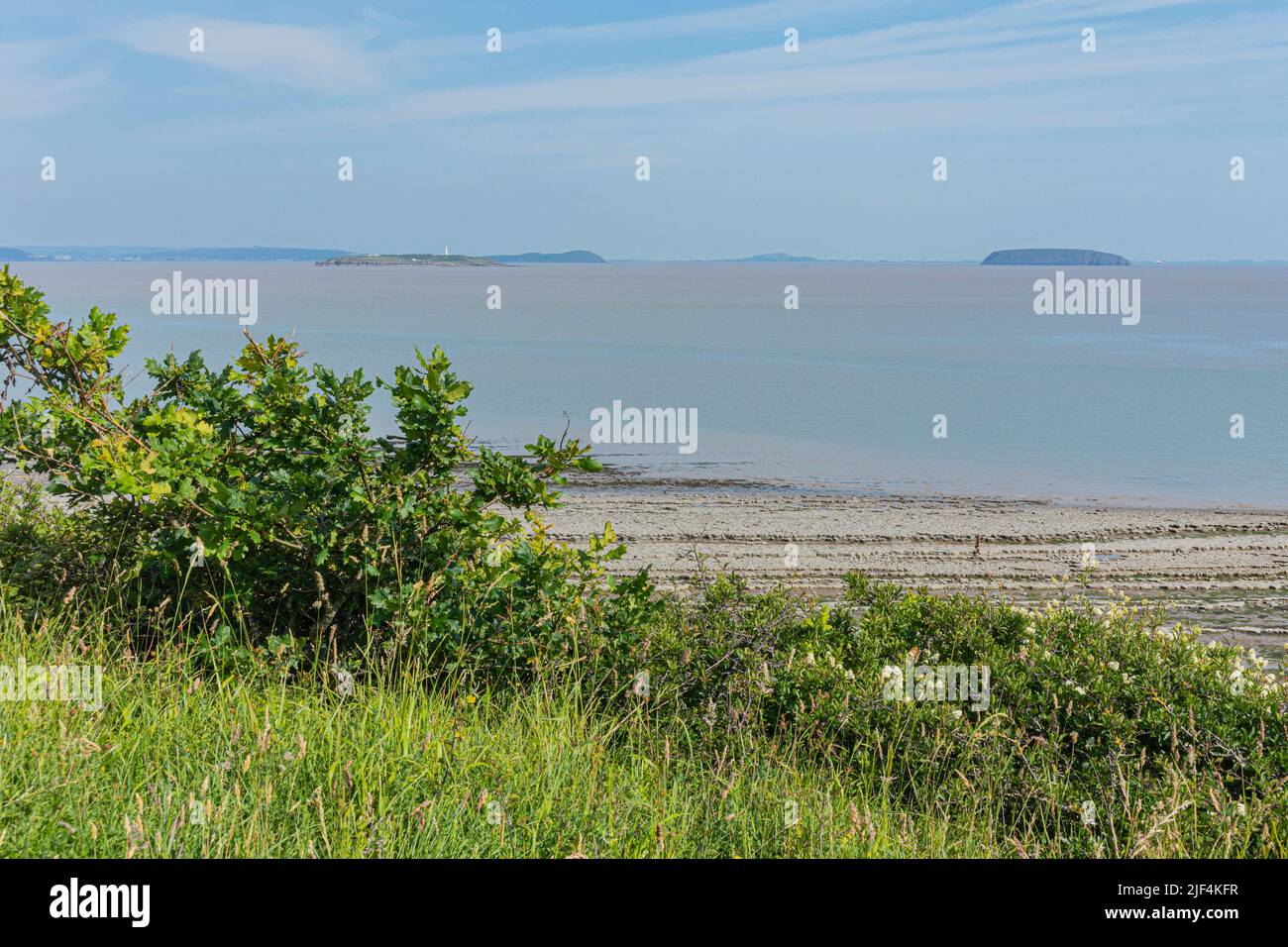 Lavernock nature reserve hi-res stock photography and images - Alamy