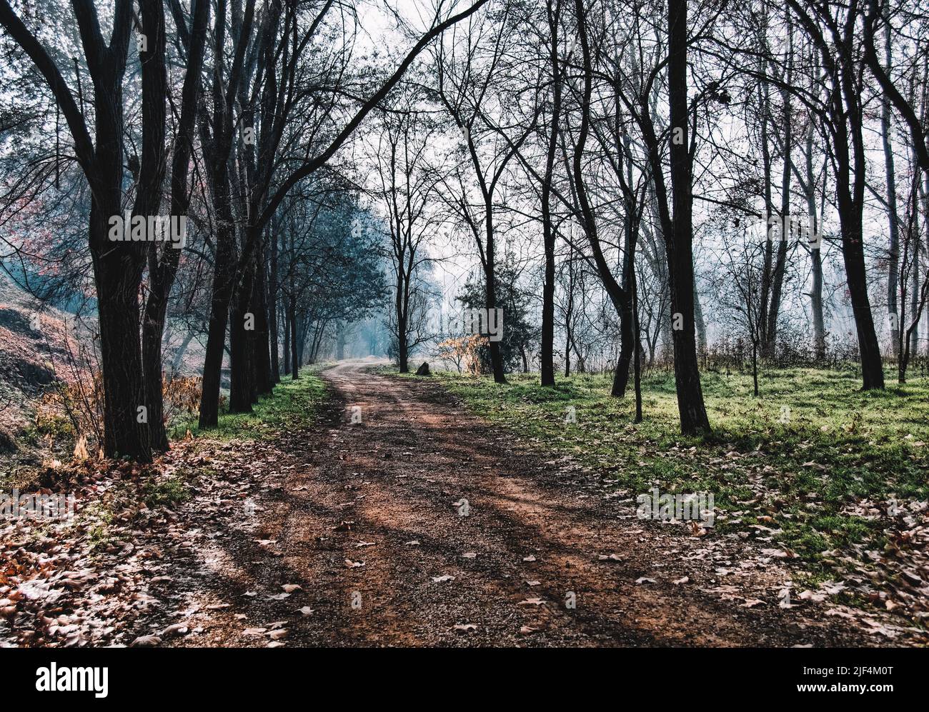 Calming quiet scene hi-res stock photography and images - Alamy