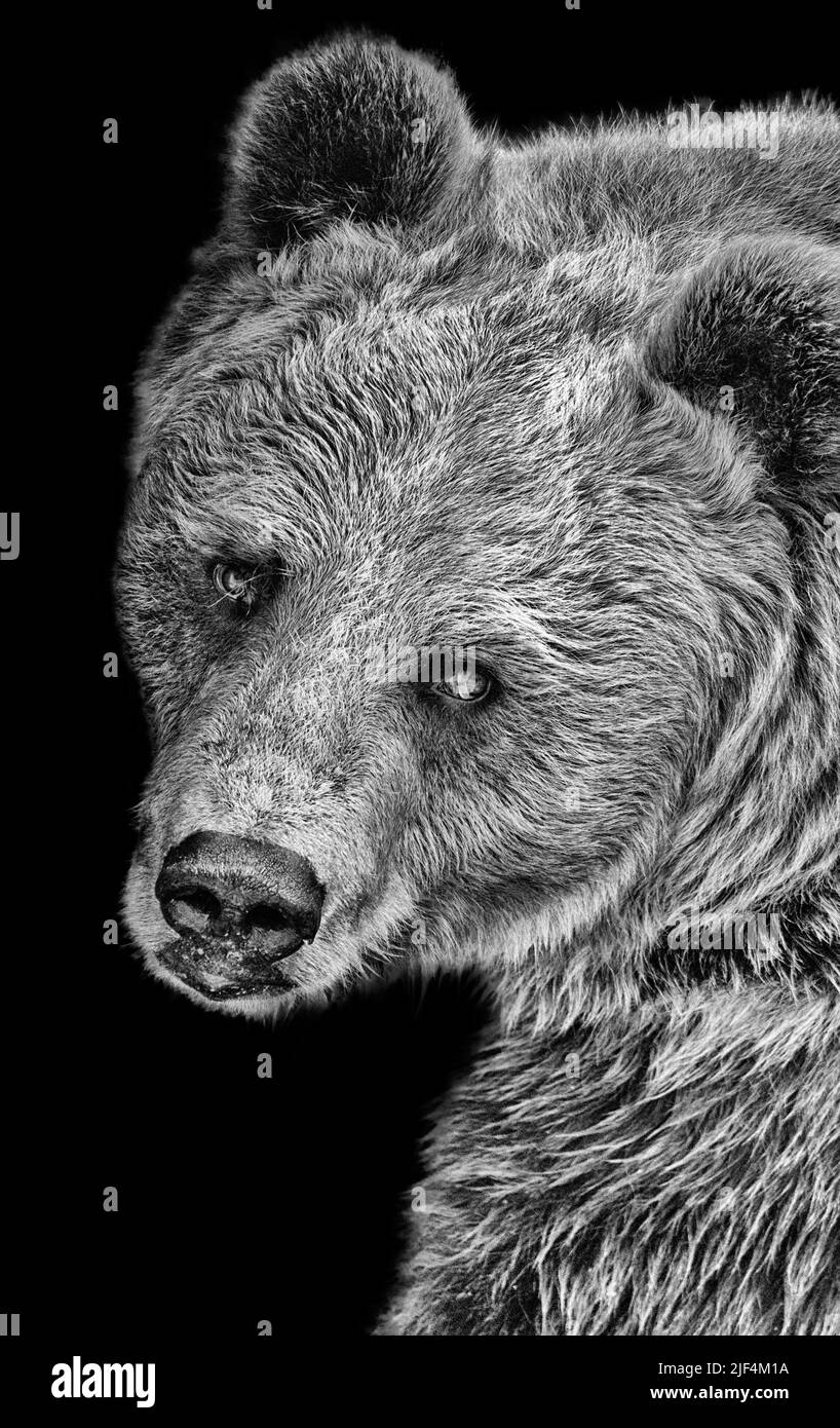 27 2014 in Black and White Stock Photos & Images - Alamy