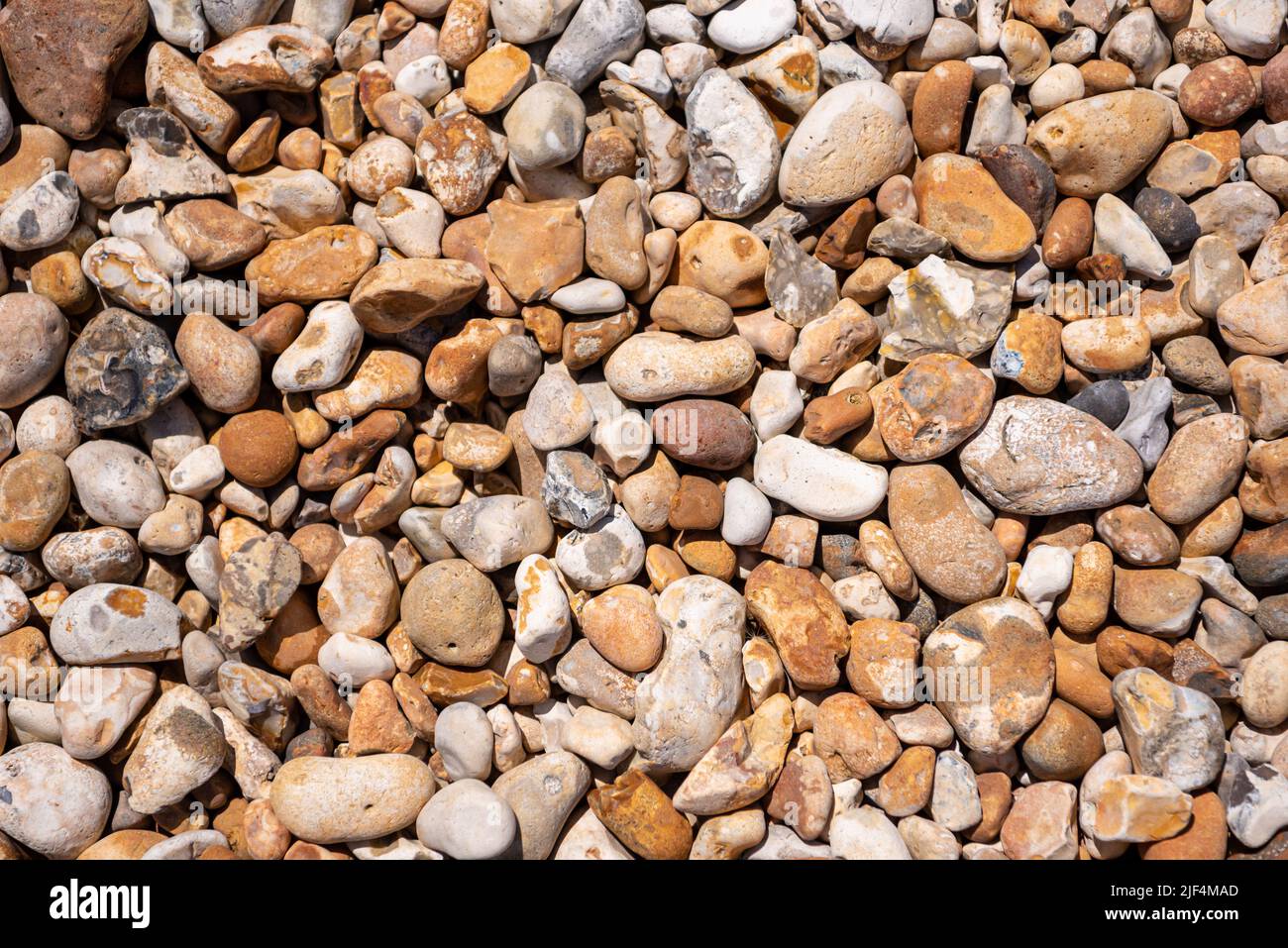 Pagham June 2022. Captured in Pagham Harbour, Pagham on 28 06 2022 by ...