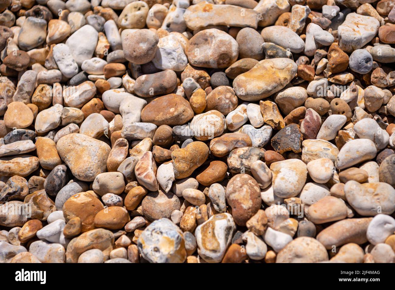 Pagham June 2022. Captured in Pagham Harbour, Pagham on 28 06 2022 by ...
