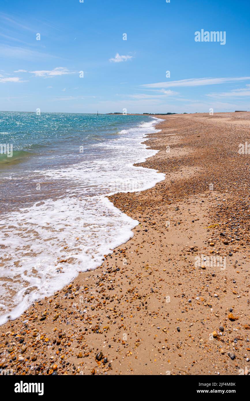 Pagham June 2022. Captured in Pagham Harbour, Pagham on 28 06 2022 by ...