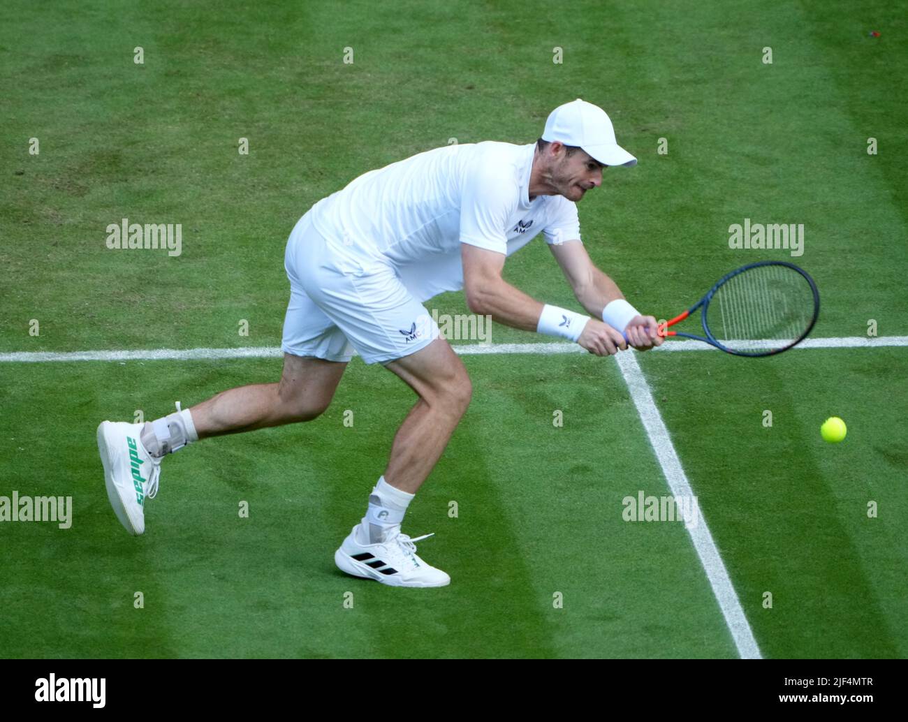 Andy Murray in action against John Isner on day three of the 2022 ...