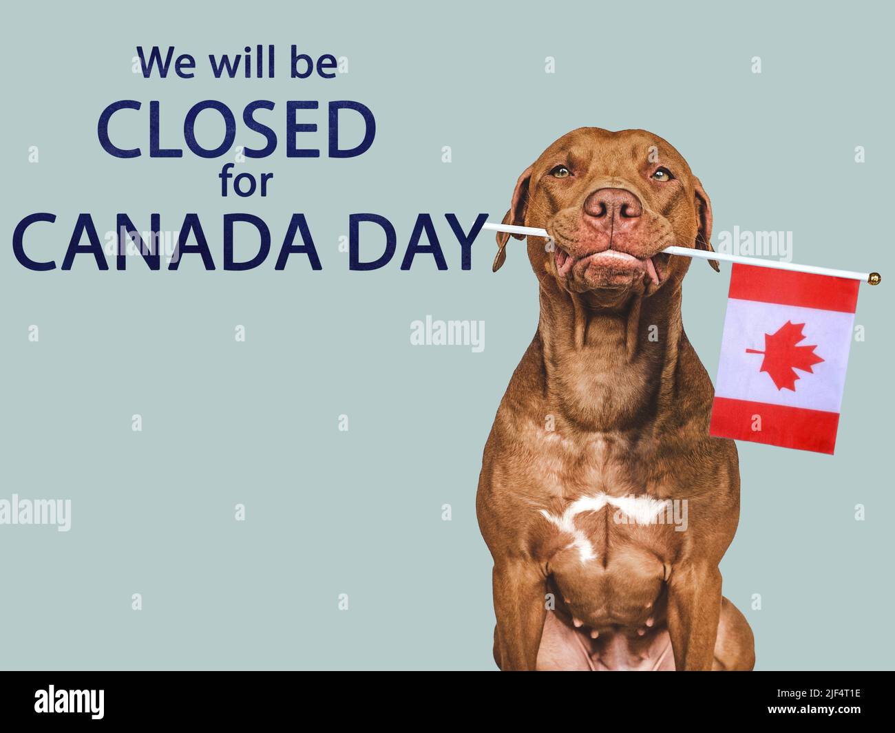 Signboard with the inscription We will be closed for Canada Day ...