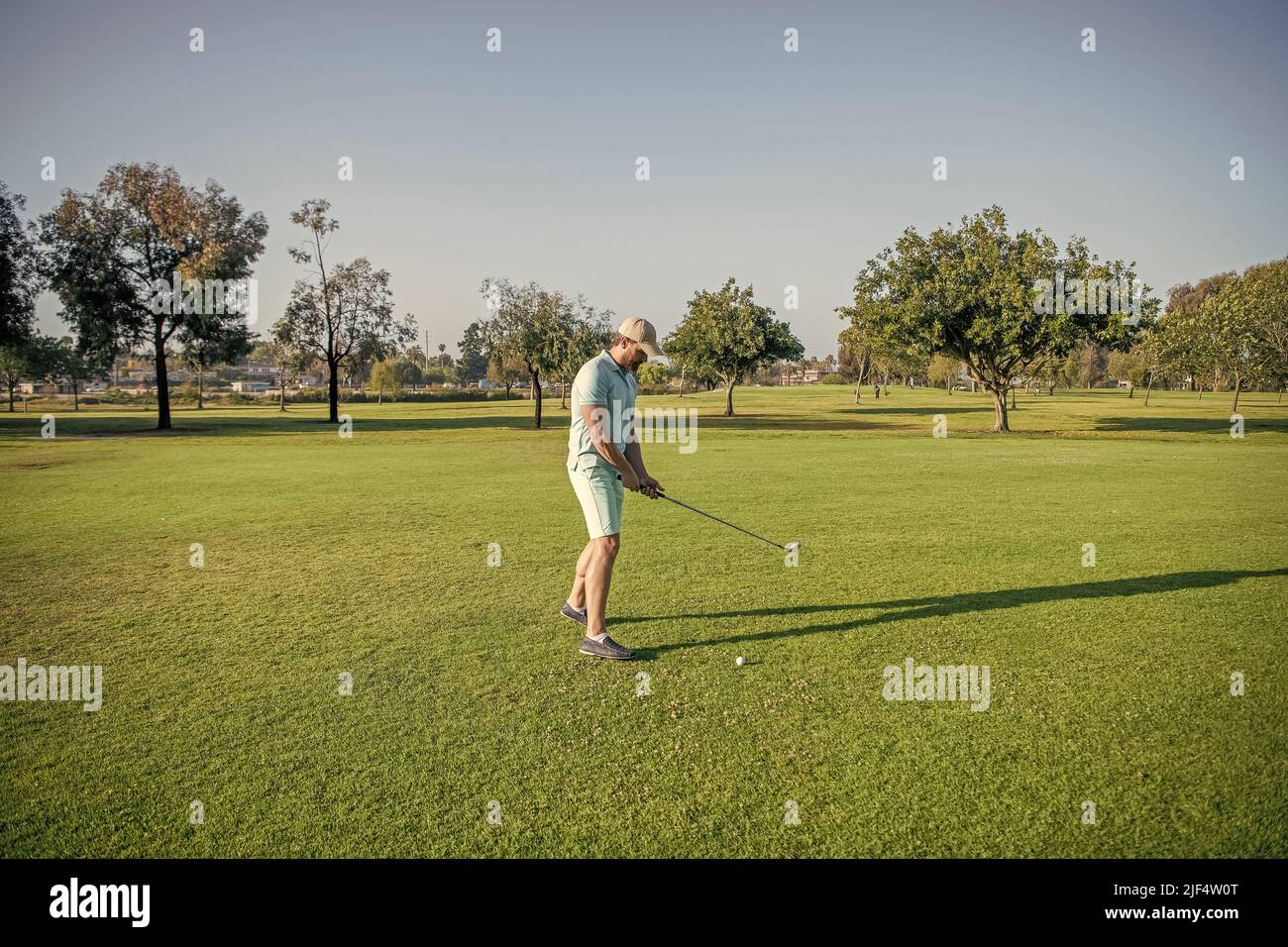 male golf player on professional golf course. portrait of golfer in cap ...