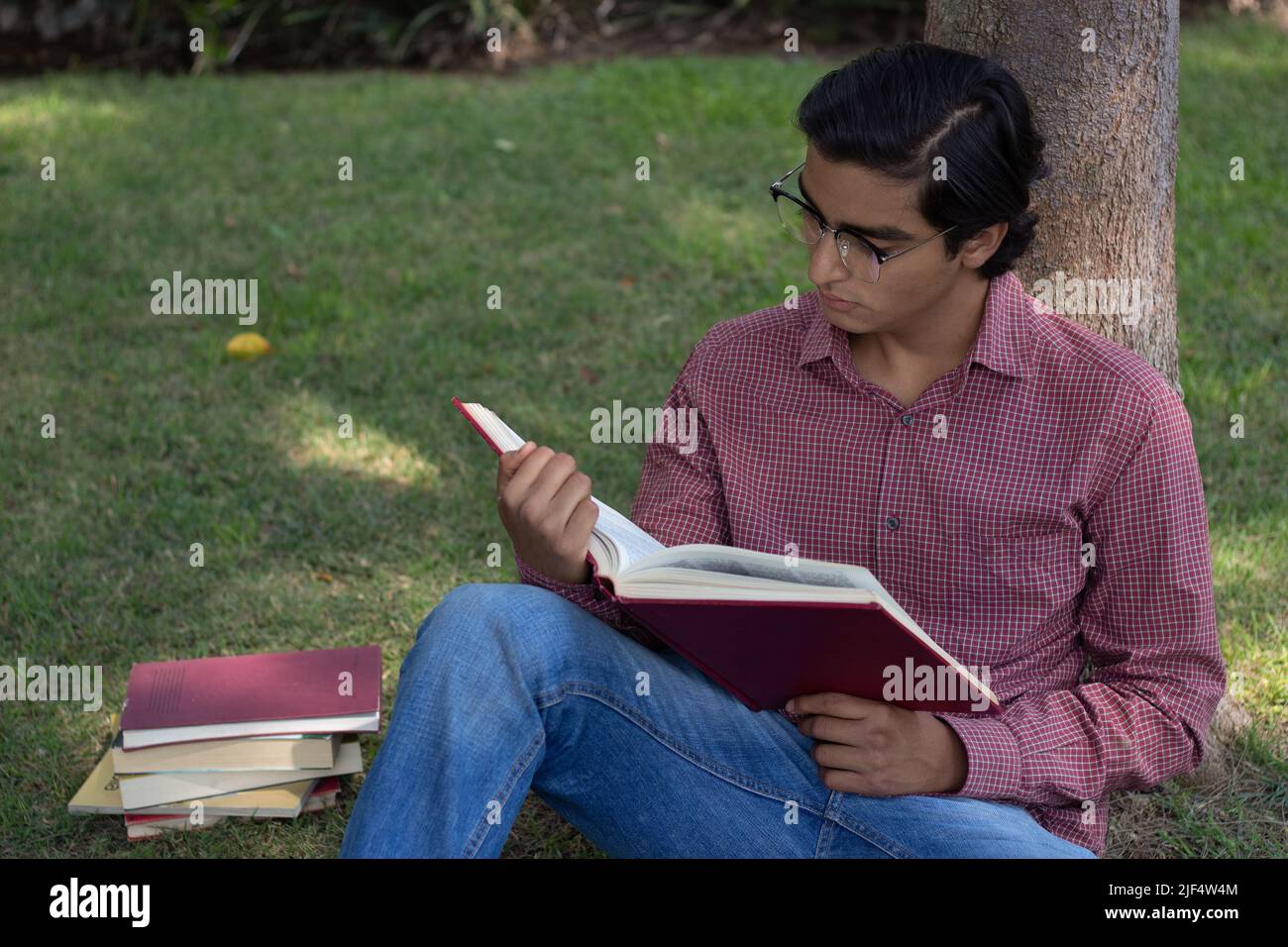 Studious philosopher hi-res stock photography and images - Alamy