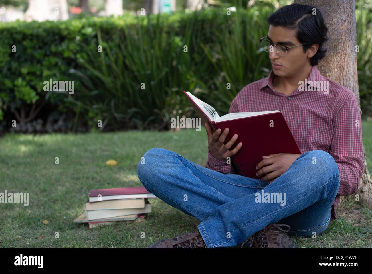 Studious philosopher hi-res stock photography and images - Alamy