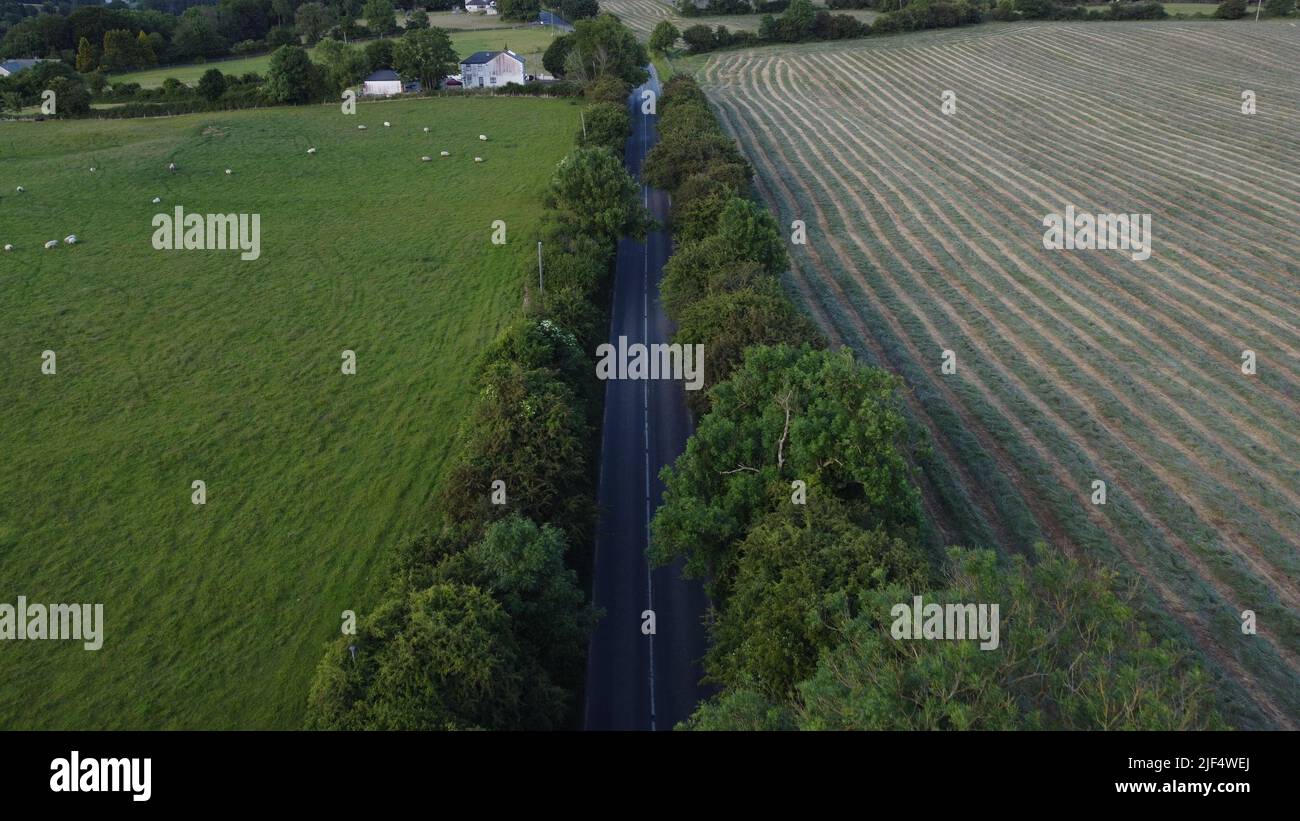 An aerial view of a road between rows of crops and green land in ...