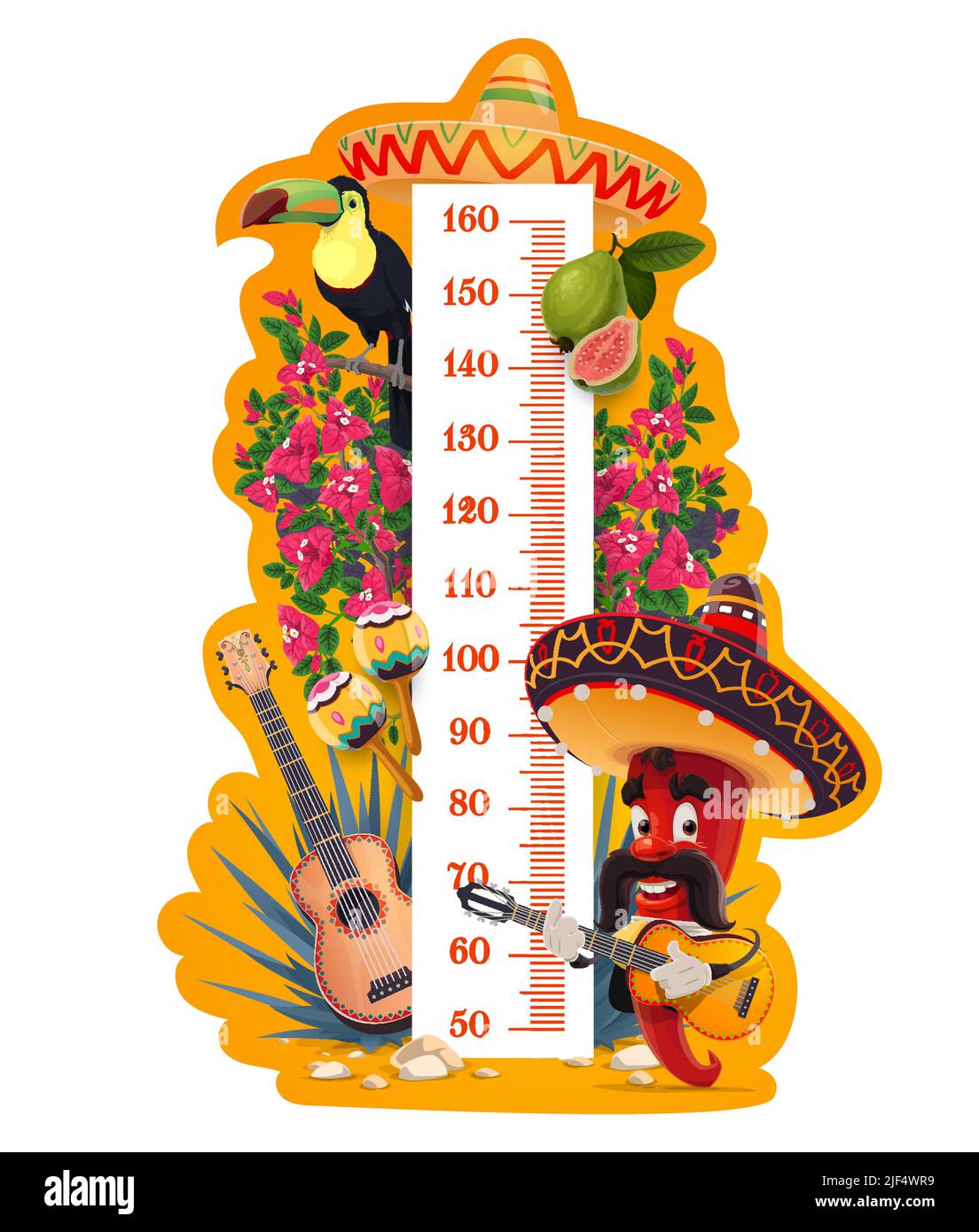 Kids height chart with Mexican chili pepper, flowers and toucan. Growth ...