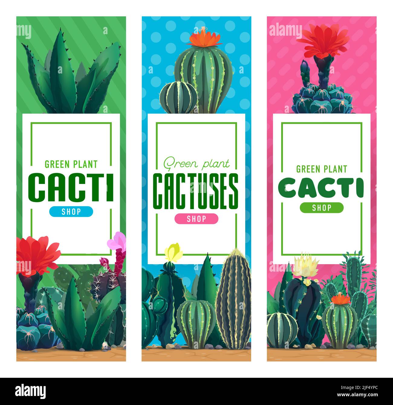 Flower shop banners, cacti and succulents. Vector vertical banners with ...