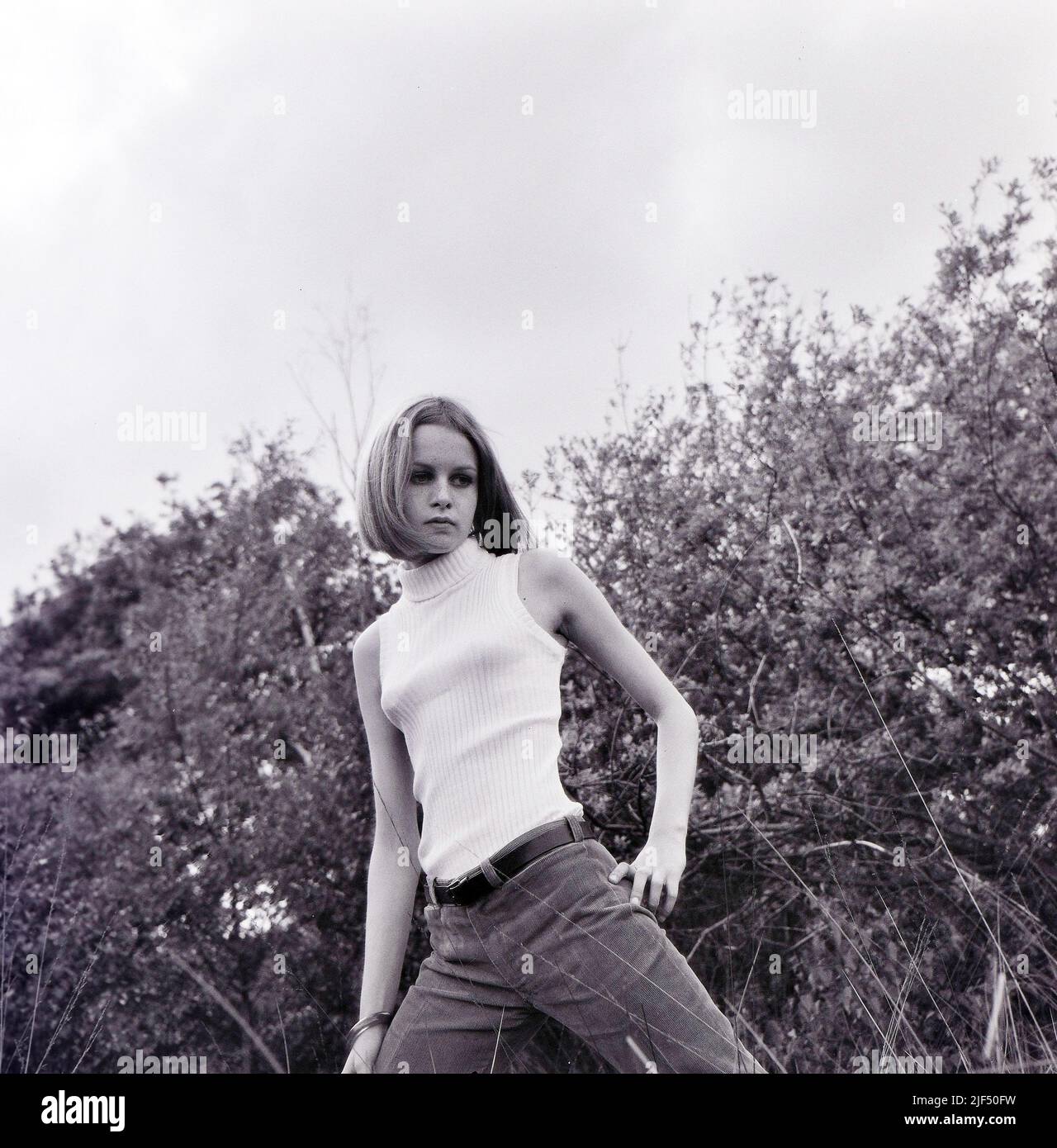 TWIGGY English model in April n April 1967.Photo: Brian Davidson Stock ...