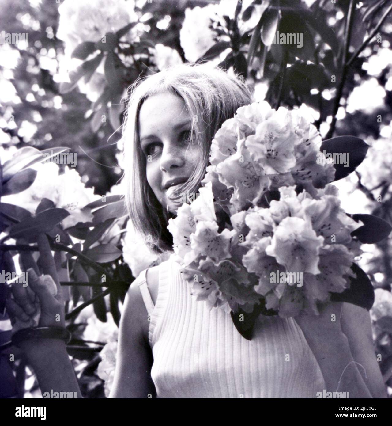 TWIGGY English model in April n April 1967.Photo: Brian Davidson Stock ...