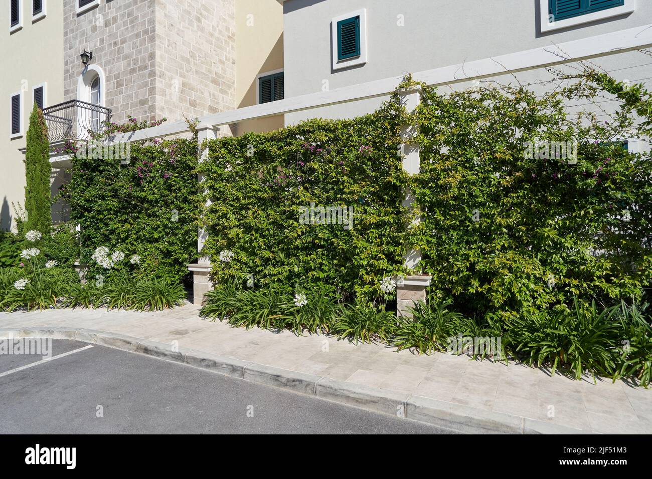 Fence from the hedge at the facade of the building for landscaping ...