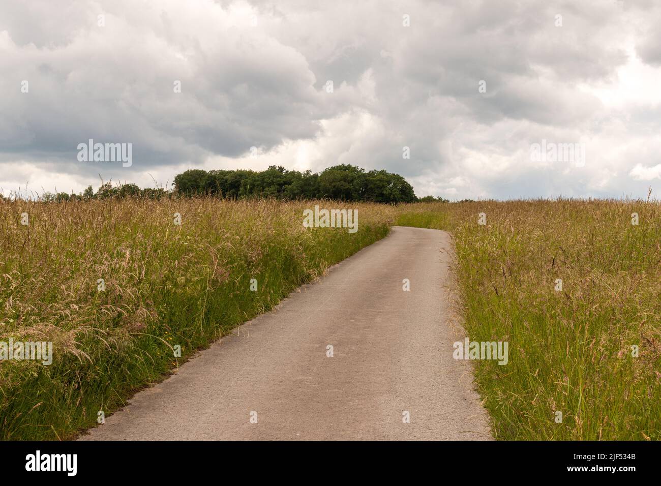 Narrow dirt road dry fields hi-res stock photography and images - Alamy