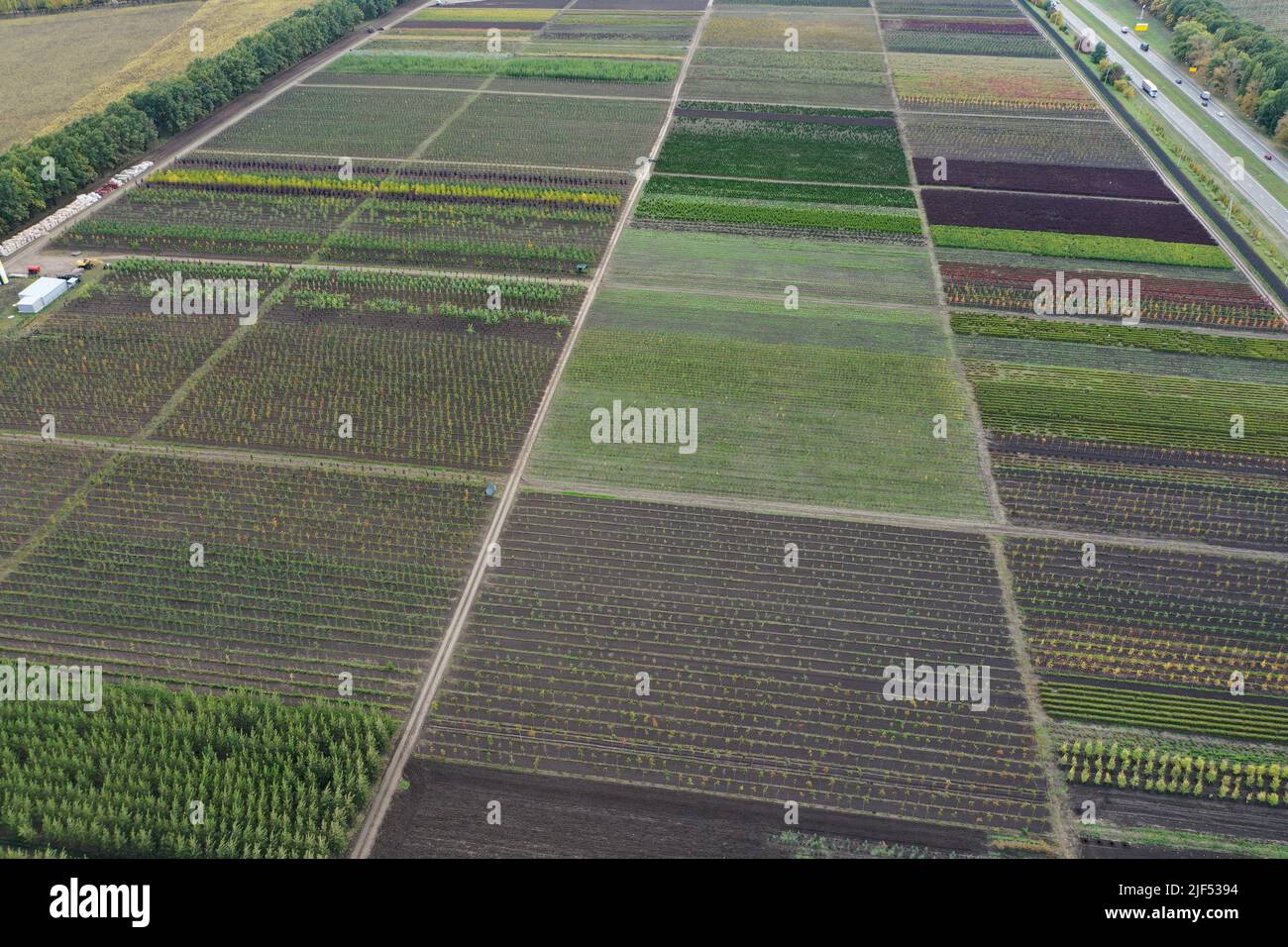 Aerial view of nursery field with trees and plants Stock Photo - Alamy