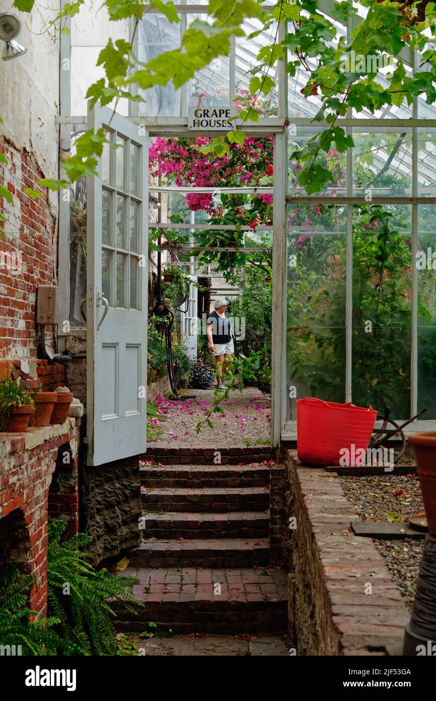 A visitor walking through the Grape House to the next greenhouse at the ...