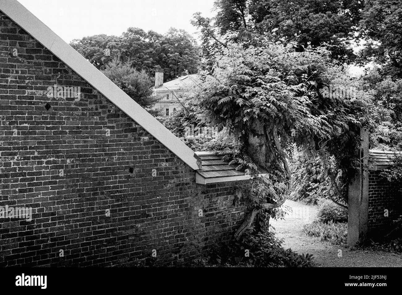 Old brick warehouse and archway of vines leading to a garden at the ...